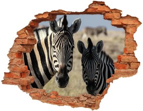 Wallmuralia Díra 3D fototapeta nálepka Dvě zebry 90x70 cm