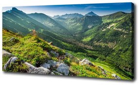 Wallmuralia Foto obraz na plátně Úsvit v Tatrách 100x50