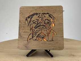 Li-Go "Boxer" lampa 19x19cm provedení povrchu: dub
