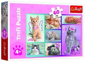 Trefl Puzzle roztomilé kočky, 60 dílků