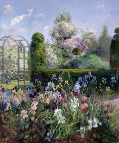 Obrazová reprodukce Irises in the Formal Gardens, 1993, Timothy Easton
