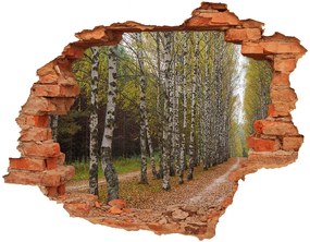 Wallmuralia Díra 3D ve zdi nálepka Alej bříz 90x70 cm