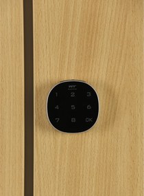 Šatní skříňka S1 s úložnými boxy, 4 boxy, 1850 x 300 x 500 mm, kódový zámek, laminované dveře, buk