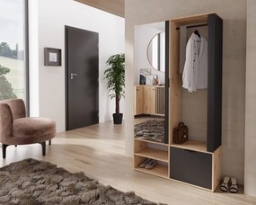 Casarredo - Komfort nábytek Předsíňová stěna MINAS dub artisan/černá