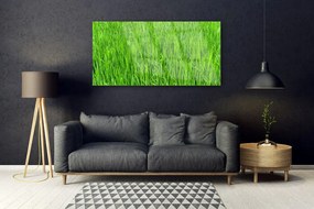 Plexisklo-obraz Zelená Tráva Příroda Trávník 120x60 cm