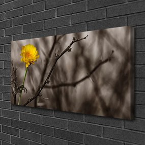 Obraz na plátně Větev Květ 140x70 cm