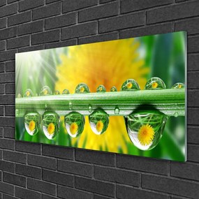 Obraz na skle Stonek Kapky Rosa Rostlina 120x60 cm