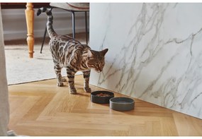Miska pro kočky MiaCara Scodella grafit 0,25 l