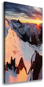 Wallmuralia Vertikální Vertikální Foto obraz na plátně do obýváku Hory zima 50x100