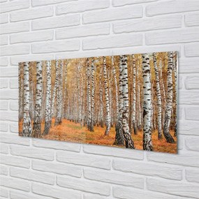 Obraz na skle podzimní stromy 125x50 cm