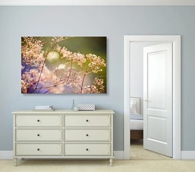 Obraz zátiší z květů - 120x80 cm