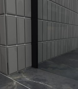 Erga Paris, sprchová zástěna Walk-In 30x200 cm, 8mm šedé sklo, černý profil, ERG-V02-PARIS-030x200-GR-BK