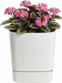 Plastový květináč s podmiskou Cubi 16x16 cm - výběr z 6 provedení