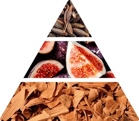 Logevy Firenze 1965 difuzér Ficus Botanica Objem: 250 ml
