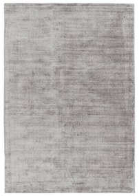 Šedý koberec 170x120 cm Blade - Asiatic Carpets