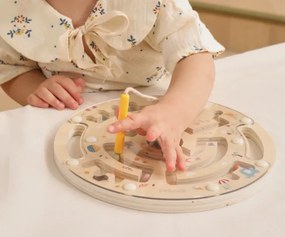 Dřevěné magnetické bludiště VIGA 44283