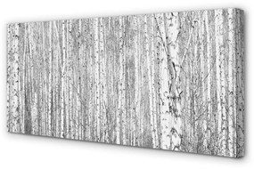 Obrazy na plátně Černá a bílá strom les 120x60 cm