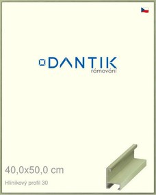 DANTIK rámeček 40x50 | ALU profil 6030 Dýha barevná zelená pastel (Sklo Čiré)