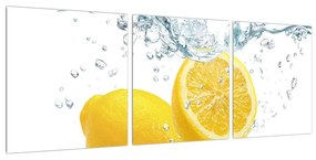 Obraz citrónů (90x30 cm)