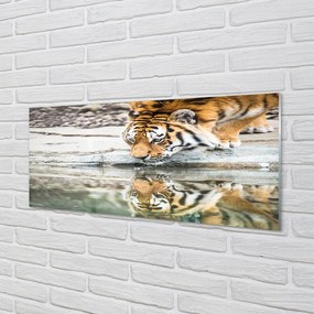 akrylový obraz tiger pití 120x60 cm