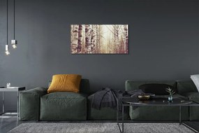 Obrazy na plátně stromy 100x50 cm