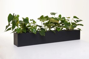 Truhlík FLOBO, sklolaminát, šířka 100 cm, antracit