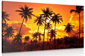 Obraz kokosové palmy na pláži