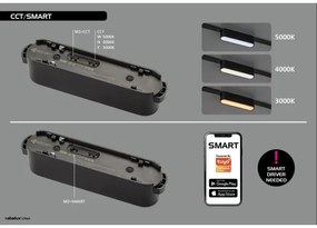 Rabalux 70126 - LED Stm. bod. svít. do 1-fáz. lišt. sys. LiTrack LED/9W/24V