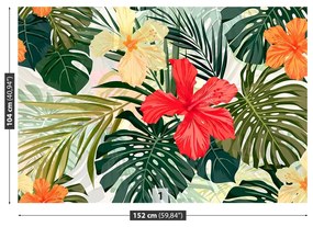 Fototapeta Havajské rostliny 104x70