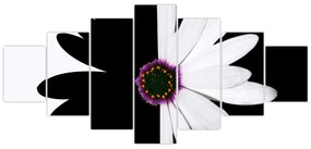 Obraz černobílého květu (210x100 cm)