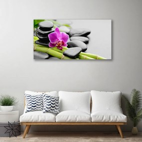 Obraz na plátně Bambus Květ Kameny Umění 100x50 cm
