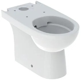 Geberit Selnova - WC kombi mísa, zadní/spodní odpad, Rimfree, bílá 500.488.01.7