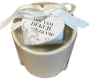 Bohemia Gifts Aroma lampa s vonnými vosky - Děkuji