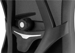 ERGODO Ergonomická kancelářská židle VERTON - černá síťovina / nosnost 150 kg
