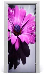 Samolepící fototapeta na dveře Růžová gerbera 75x205 cm