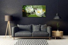 Obraz na skle Květiny Rostliny Příroda 100x50 cm