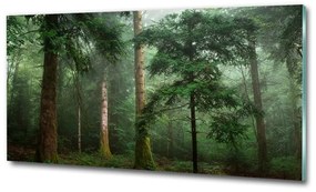 Wallmuralia Foto obraz fotografie na skle Mlha v lese 100x50