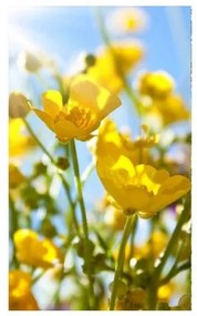 DIMEX | Vliesová fototapeta na zeď Žluté květiny MS-2-0134  | 150 x 250 cm | žlutá, zelená, modrá