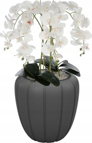 Orchidej umělý bílý v květináči kytice květin H 90 cm květináč Antracitový
