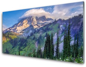 Obraz na skle Hora Les Krajina 140x70 cm