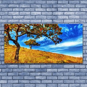 Plexisklo-obraz Louka Strom Příroda 120x60 cm