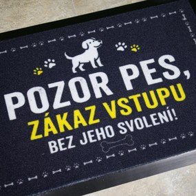 Mercury Flooring, Rohožka se psím svolením 40x60 cm - na ven i na doma, 40x60, šedá