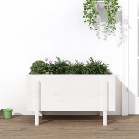 Zahradní vyvýšený záhon bílý 101 x 50 x 57 cm masivní borovice,  825213