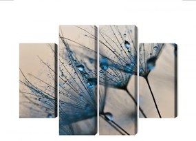 Vícedílný obraz Pampelišky S Kapkami Vody V Makro Měřítku Nedostatek Nedostatek Přírodní plátno 160x120