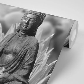 Samolepící fototapeta klidný černobílý Buddha