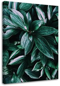 Gario Obraz na plátně Listy tropických rostlin Rozměry: 40 x 60 cm