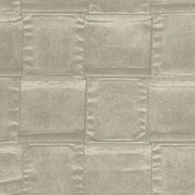 Luxusní vliesová tapeta na zeď imitace světle šedé kůže 64804, Materea, Limonta