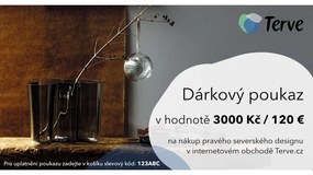 Vánoční dárkový poukaz na 3000 Kč