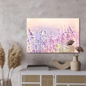 Obraz Květy Levandule Zalité Slunečním Světlem Nedostatek Nedostatek Přírodní plátno 40x30