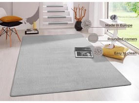 Světle šedý koberec 200x280 cm Fancy – Hanse Home